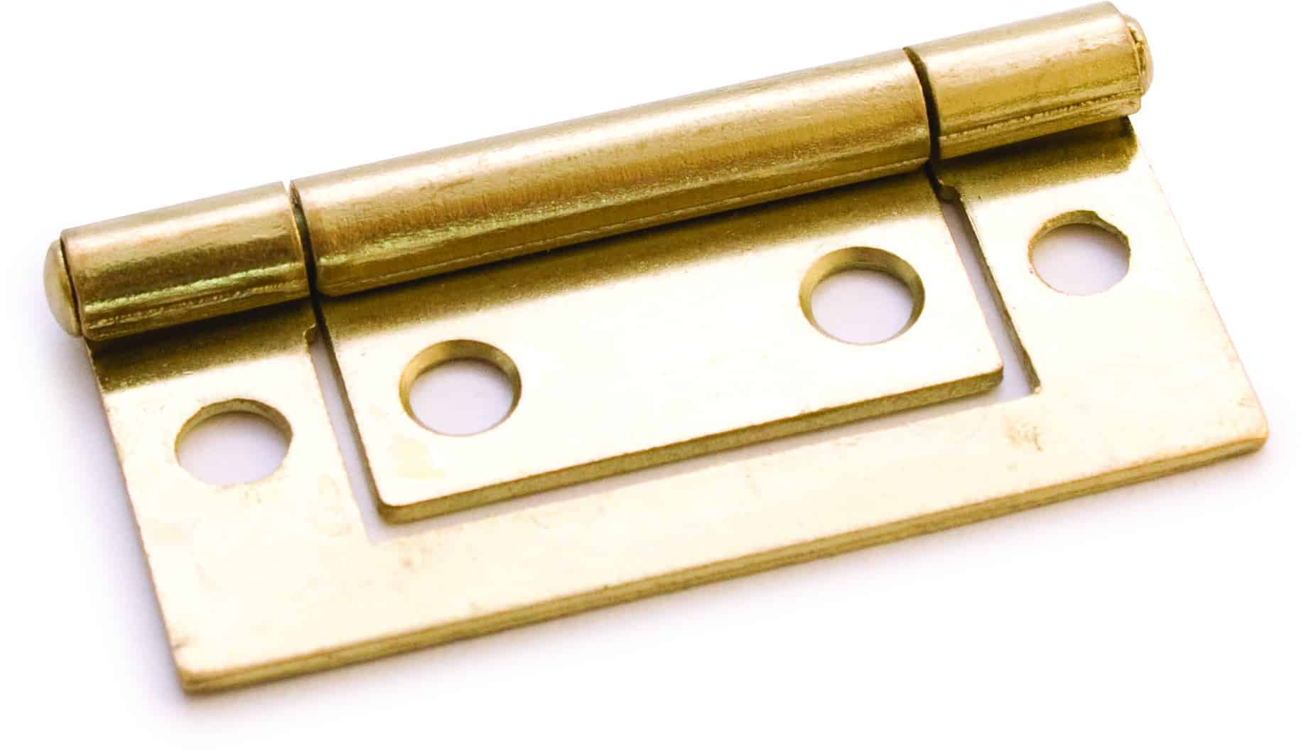 Flush Hinge Brass Plated - Tip Top Tools